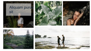 Tropical Summer Powerpoint Template – MasterBundles