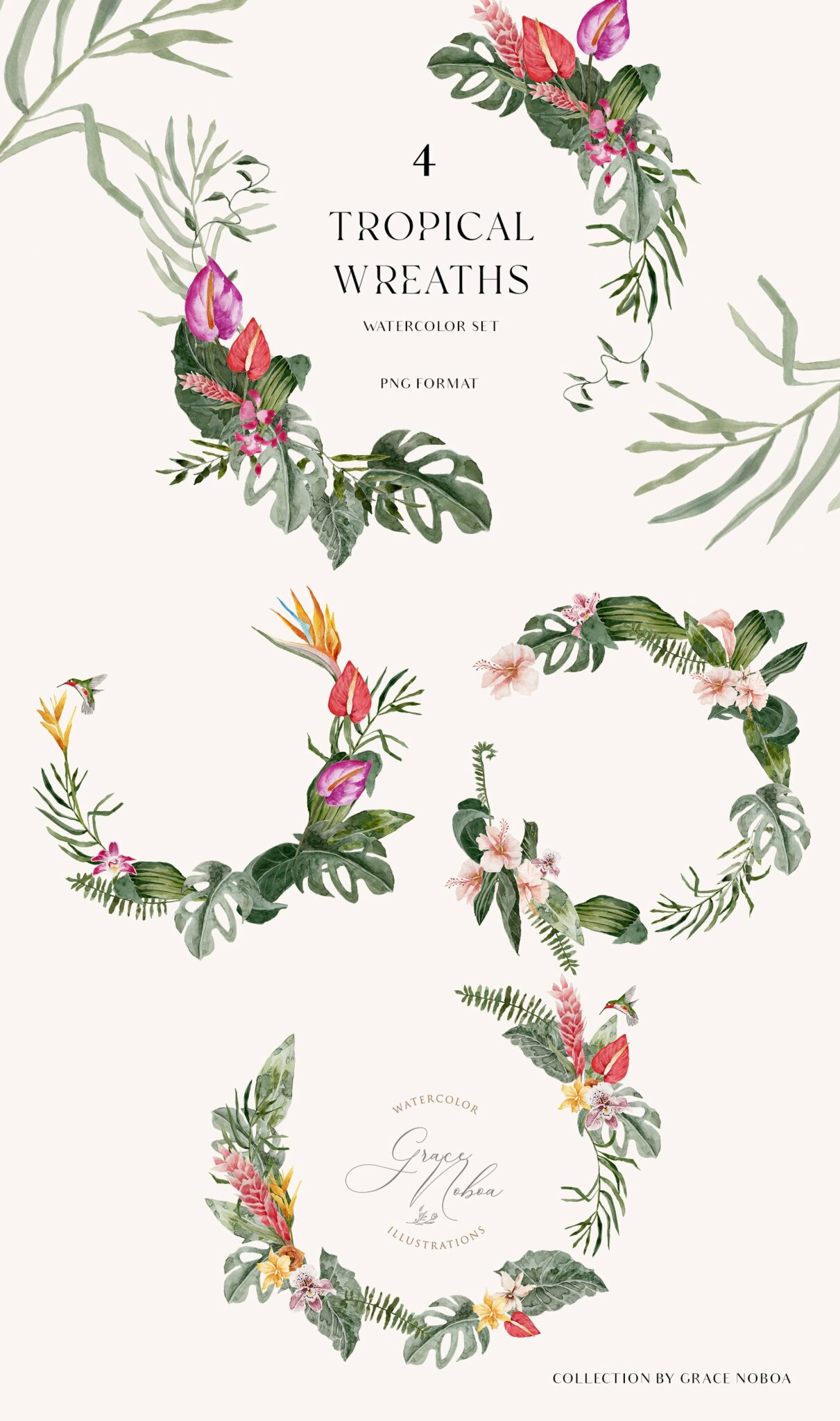 Tropical Summer - Exotic Flora Set – MasterBundles