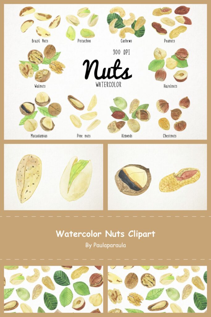Watercolor Nuts Clipart – MasterBundles