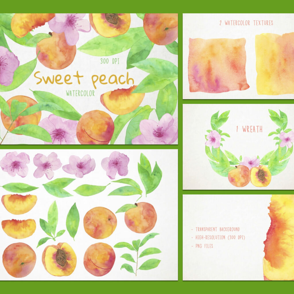 Watercolor Peaches Clipart – MasterBundles