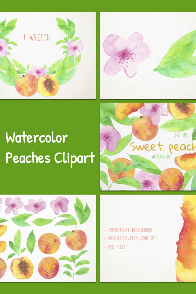 Watercolor Peaches Clipart – MasterBundles