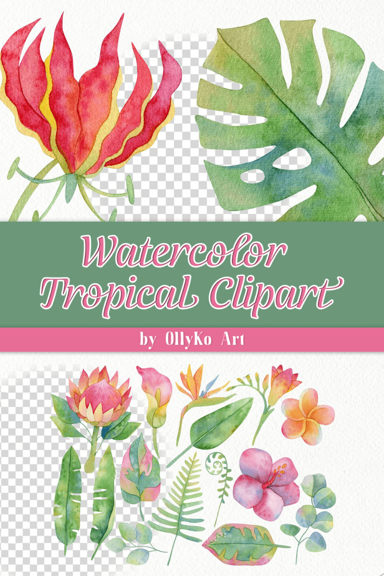 Watercolor Tropical Clipart – MasterBundles