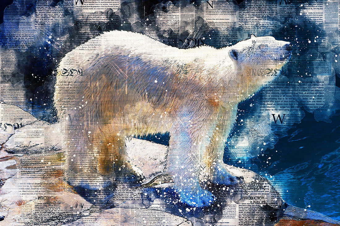 12 Bears HQ Graphics with Text Style - MasterBundles