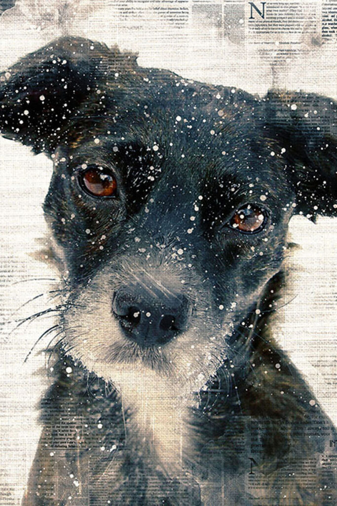 12 Dogs HQ Graphics with Text Style - MasterBundles