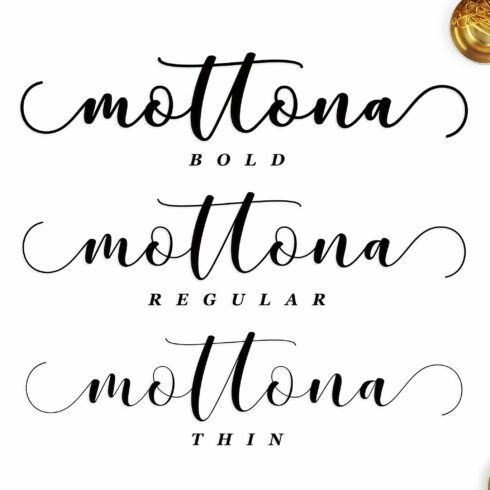 Mottona Script Font | Master Bundles