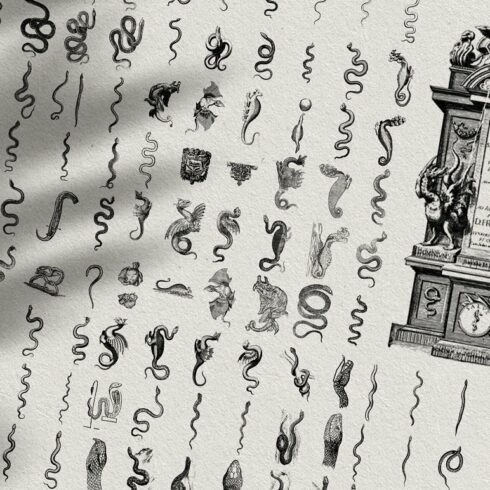 Snakes & Dragons Illustrations | Master Bundles