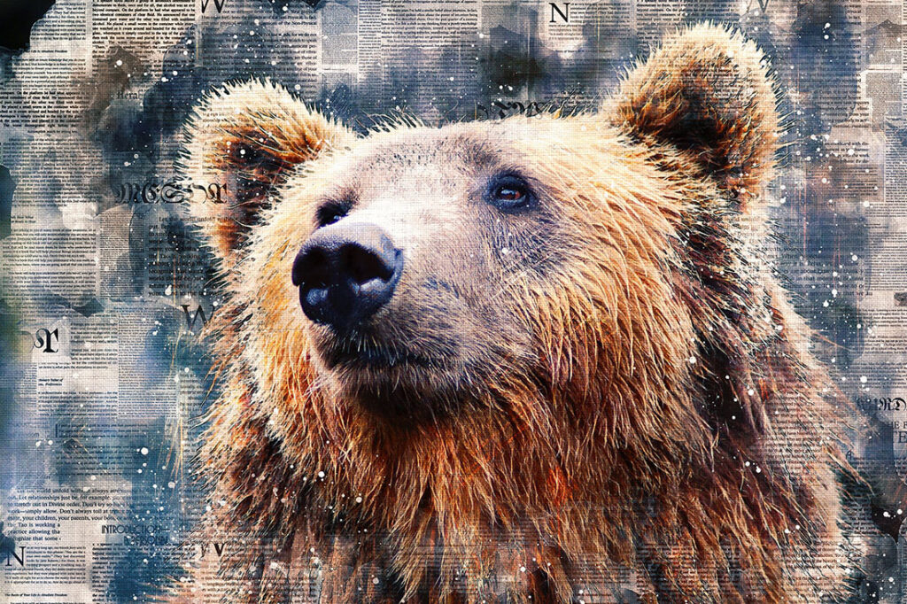 12 Bears HQ Graphics with Text Style - MasterBundles