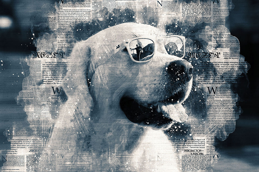 12 Dogs HQ Graphics with Text Style - MasterBundles