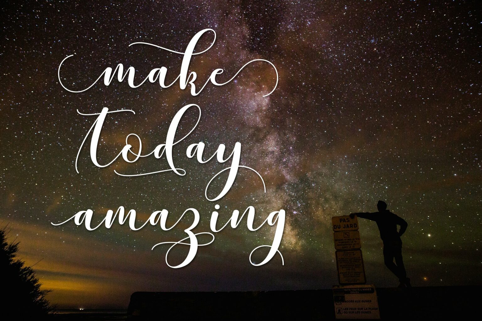 Mottona Script Font – MasterBundles