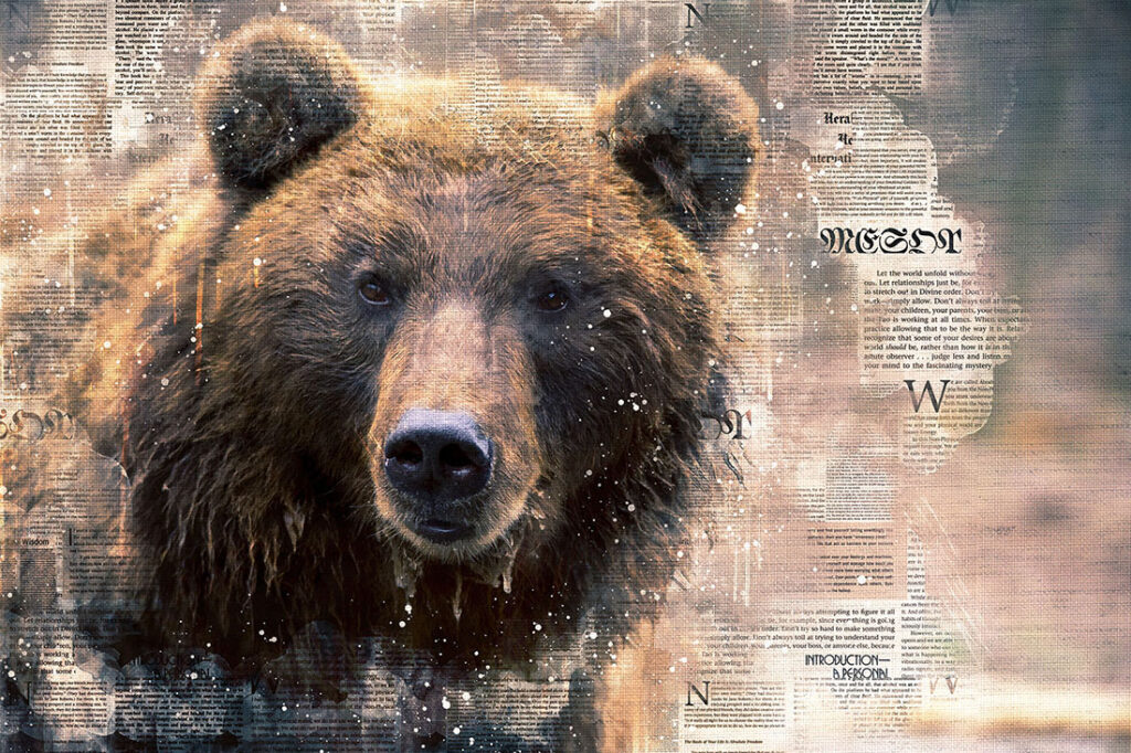 12 Bears HQ Graphics with Text Style - MasterBundles