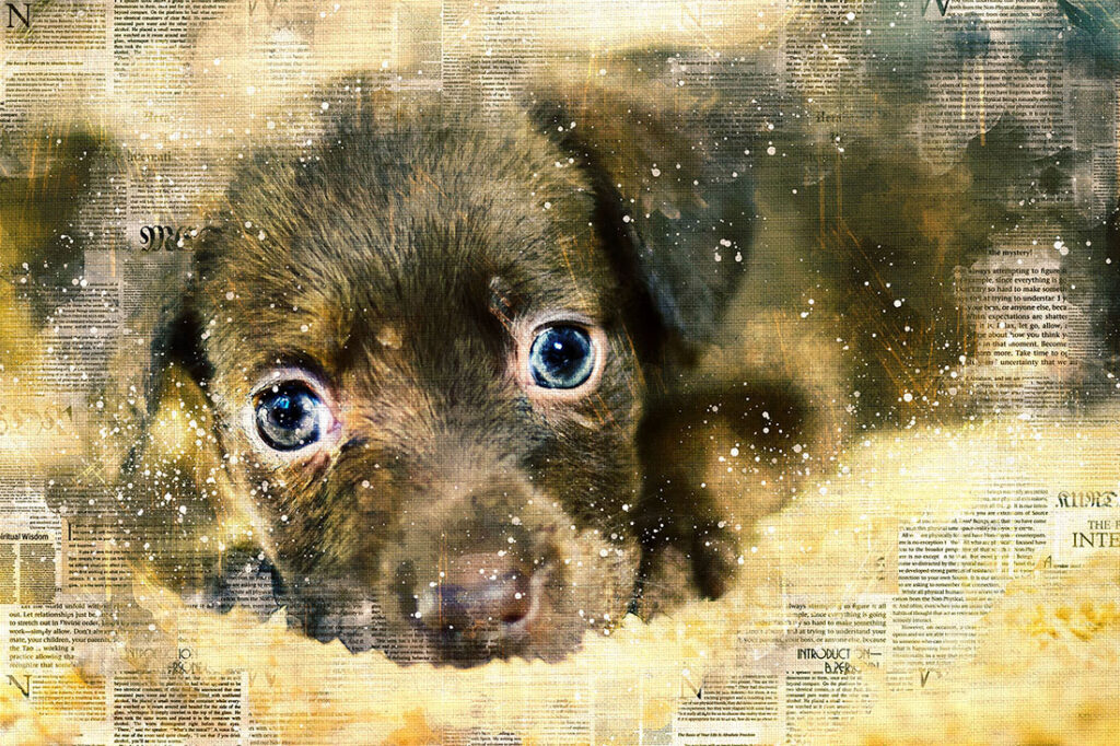 12 Dogs HQ Graphics with Text Style - MasterBundles