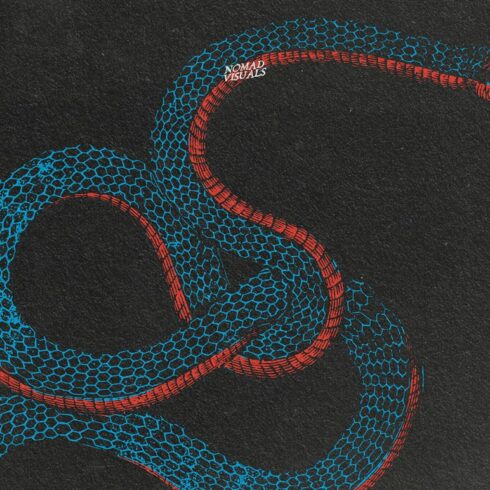 Snakes & Dragons Illustrations | Master Bundles