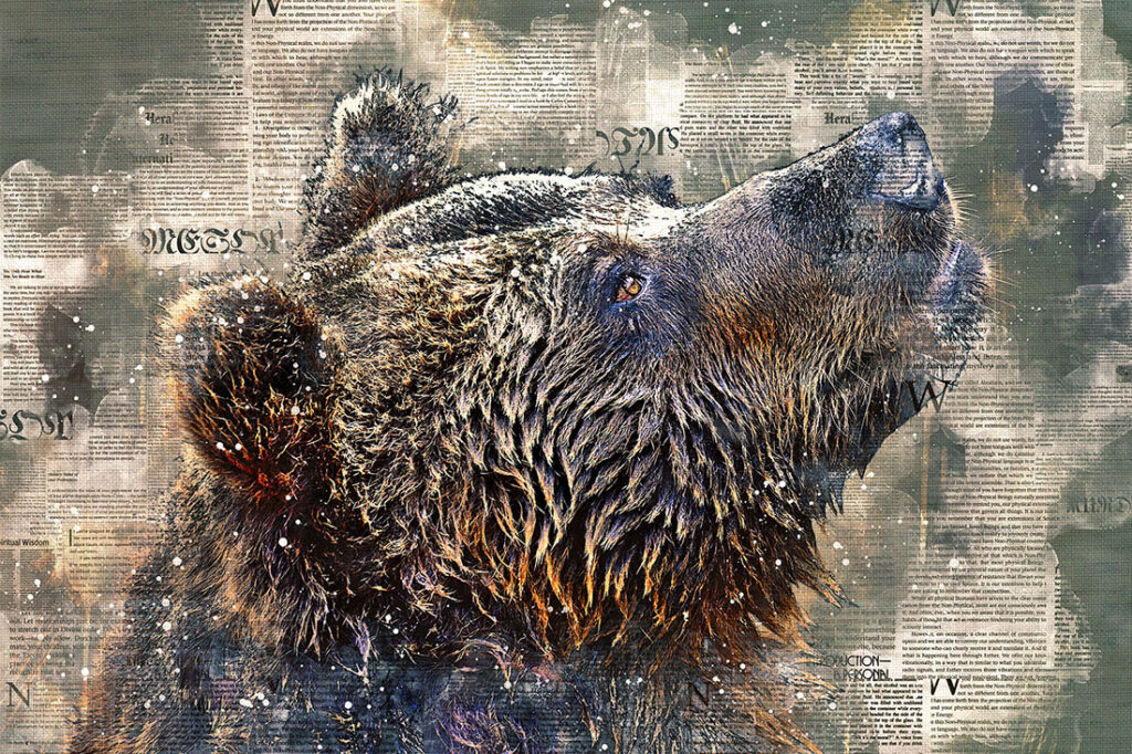 12 Bears HQ Graphics with Text Style - MasterBundles