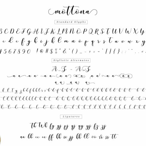 Mottona Script Font – MasterBundles