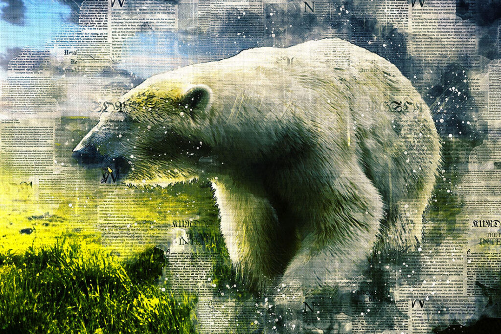 12 Bears HQ Graphics with Text Style - MasterBundles