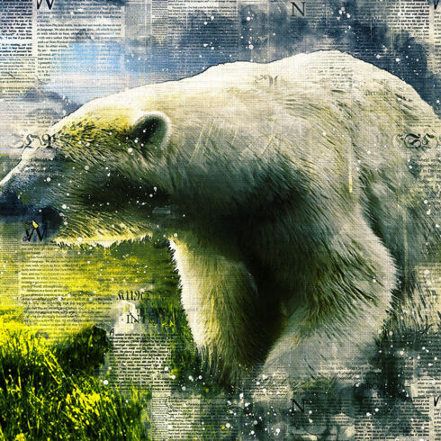 12 Bears HQ Graphics with Text Style | MasterBundles