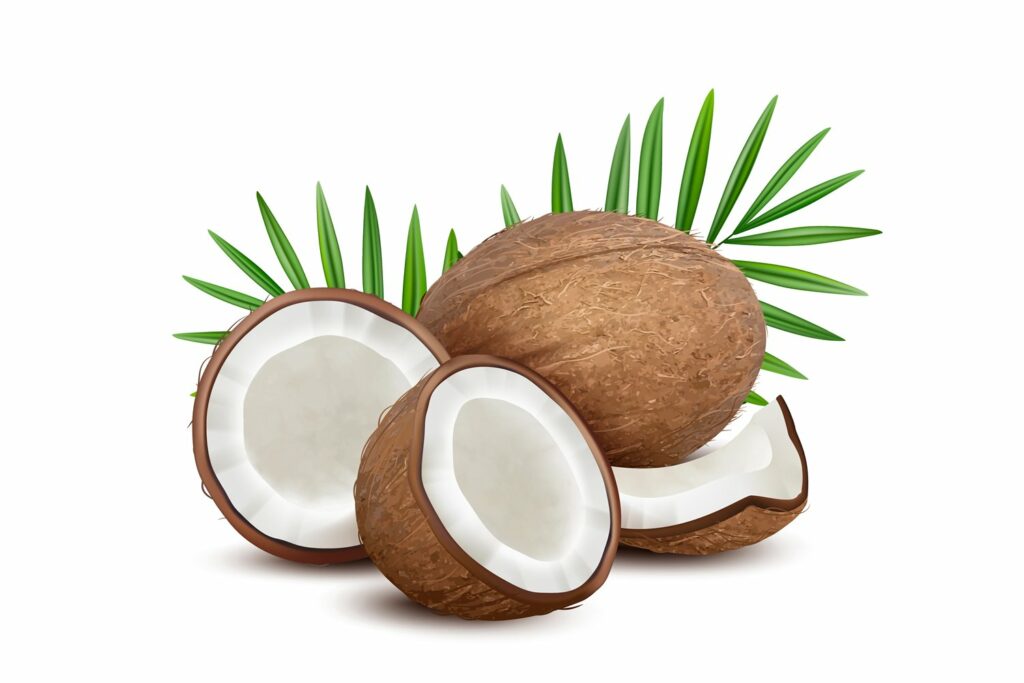 Coconut. Fresh Tropical Opened Coco Fruit with Milk and Palm ...