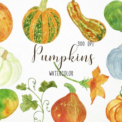 Watercolor Pumpkins Clipart 11 PNG | MasterBundles