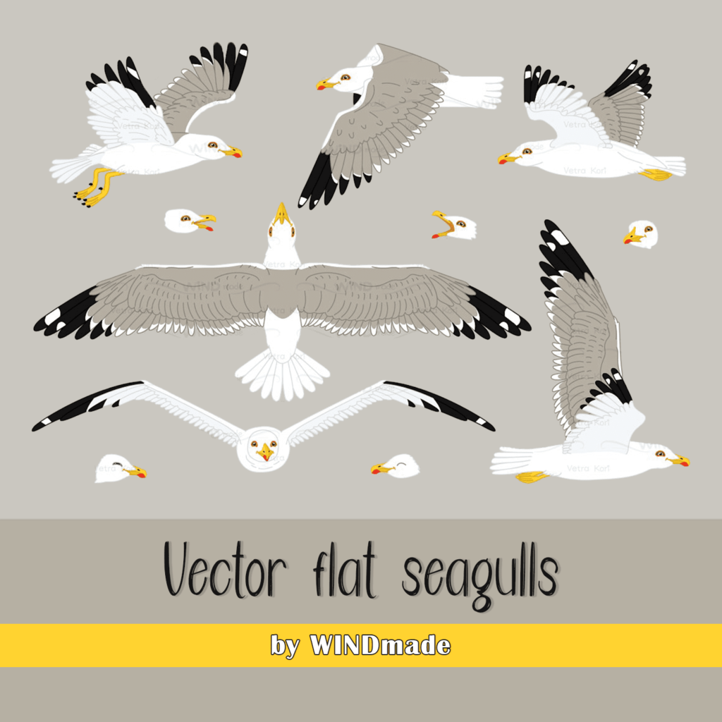 Vector Flat Seagulls Gull – MasterBundles