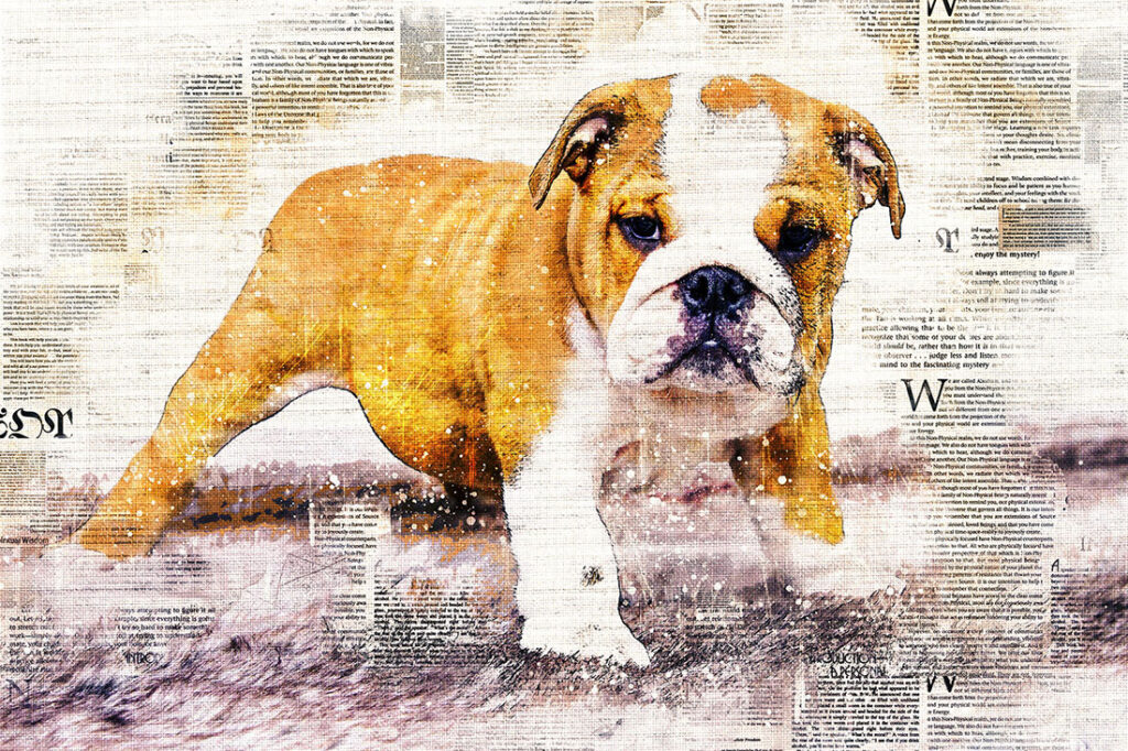 12 Dogs HQ Graphics with Text Style - MasterBundles