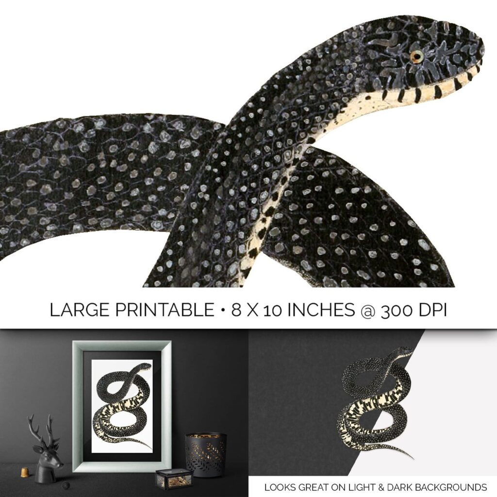 Snake Clipart Vintage – MasterBundles