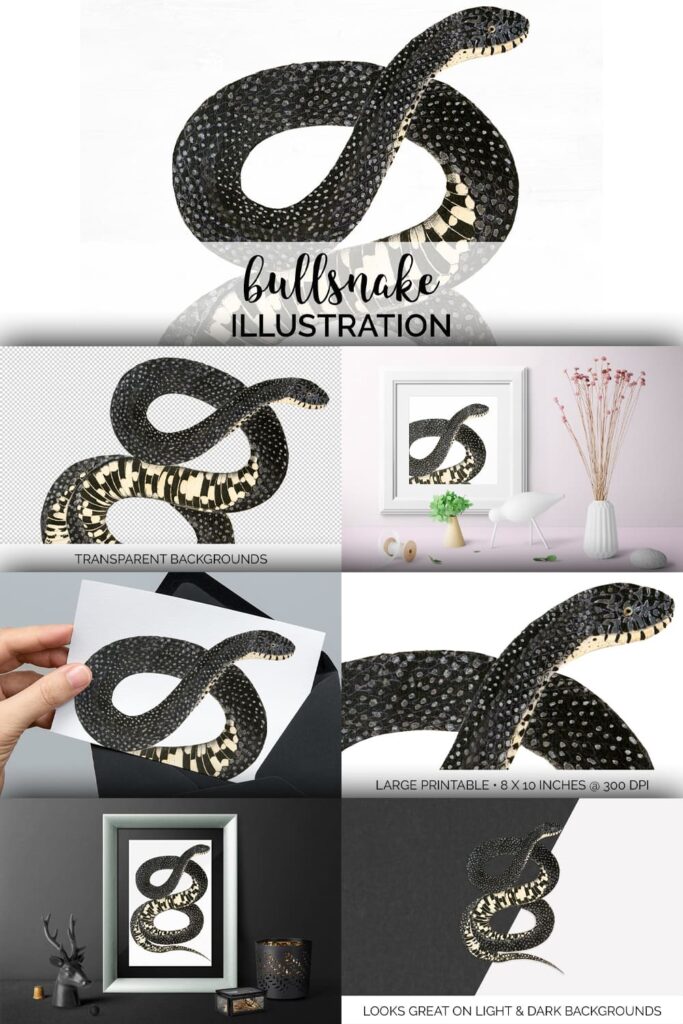 Snake Clipart Vintage – MasterBundles
