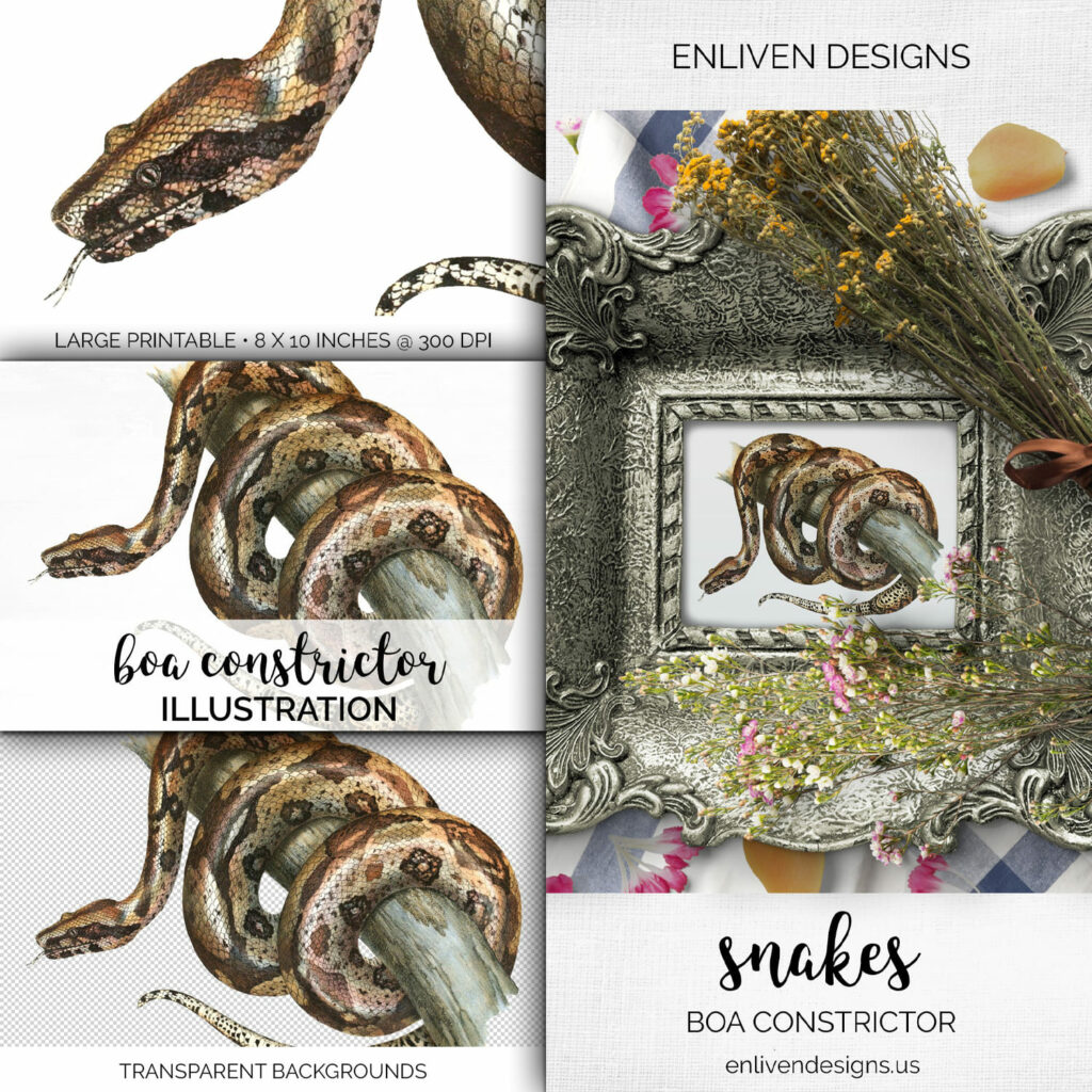 Snake Clipart Vintage – MasterBundles