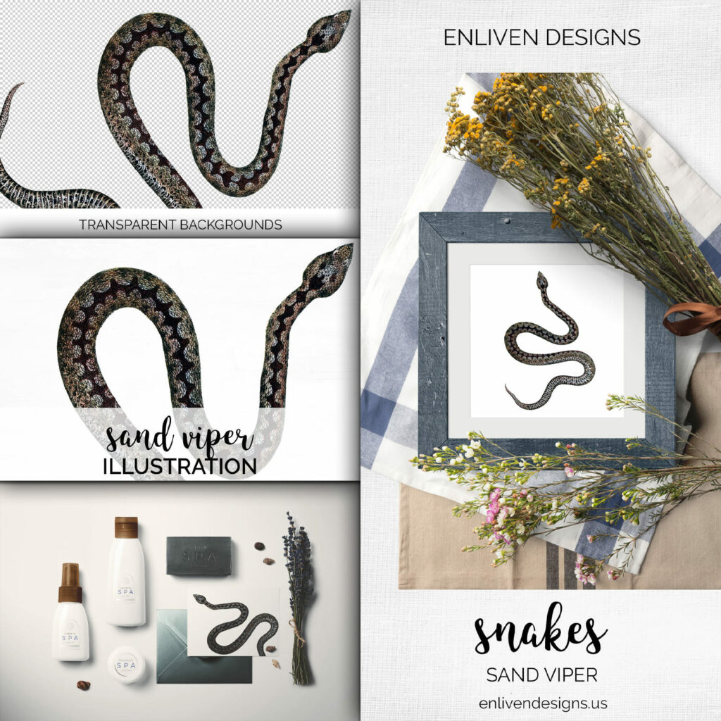 Watercolor Snake Clipart Vintage – MasterBundles