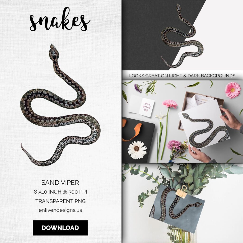 Watercolor Snake Clipart Vintage – MasterBundles