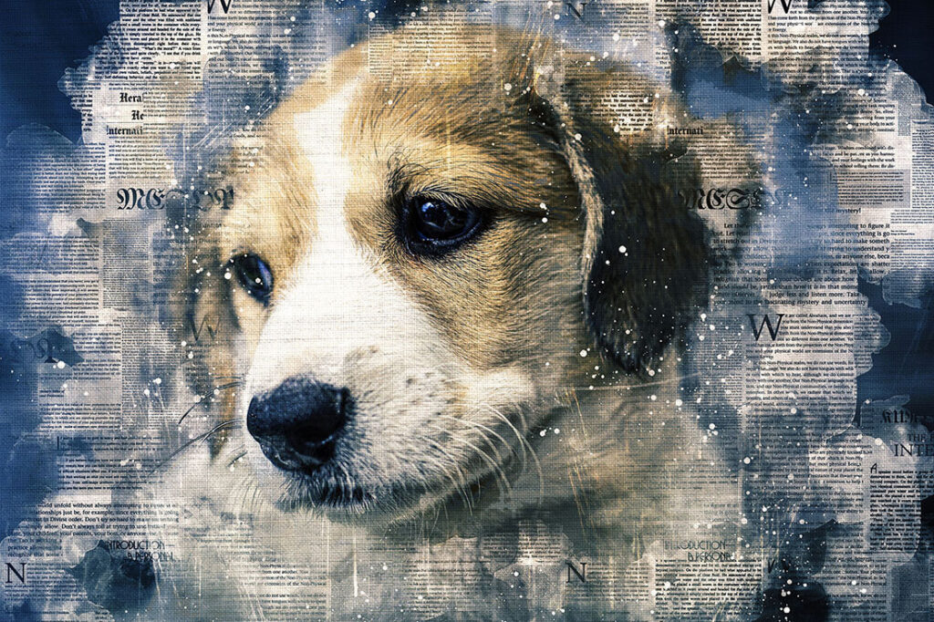 12 Dogs HQ Graphics with Text Style | MasterBundles