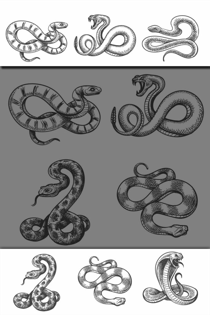 Snakes Sketch Set – MasterBundles