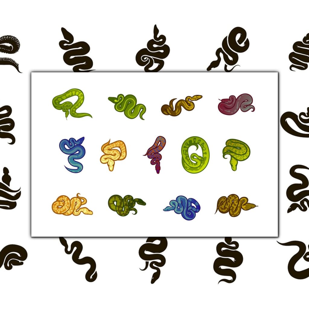 Snakes Illustration Set. Colored, Line And Silhouette Styles ...