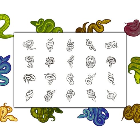 Snakes Illustration Set. Colored, Line And Silhouette Styles ...
