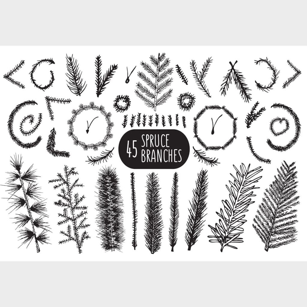 Hand Drawn Spruce Branches and Christmas Patterns - MasterBundles