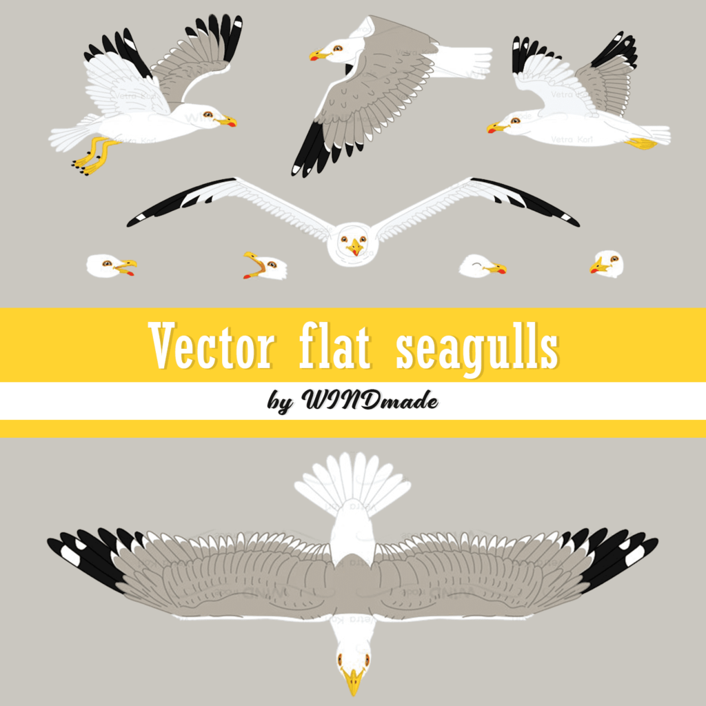 Vector Flat Seagulls Gull – MasterBundles