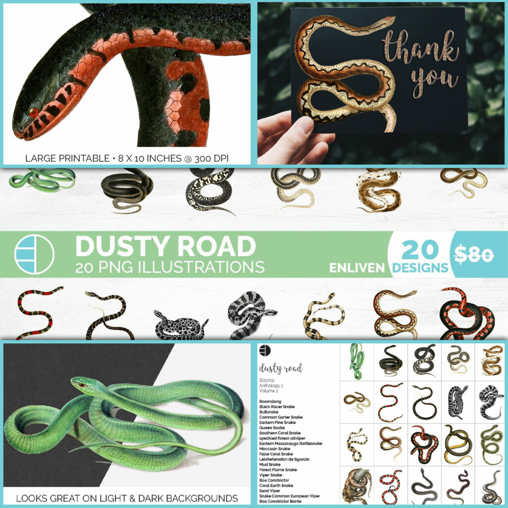 Snake Bundle Vintage Clipart – MasterBundles