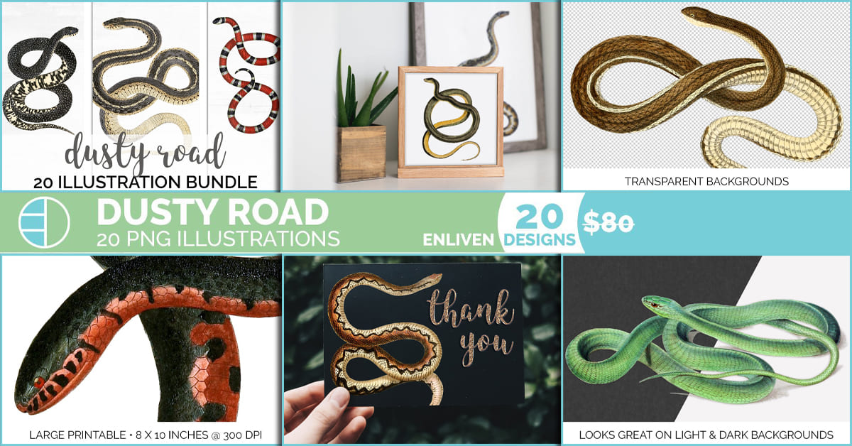 Snake Bundle Vintage Clipart – MasterBundles