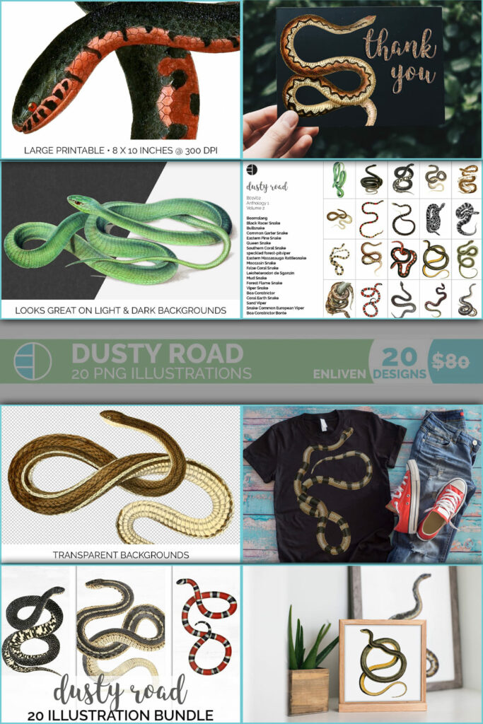 Snake Bundle Vintage Clipart – MasterBundles