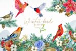 Winter Birds, Christmas Clipart | Master Bundles