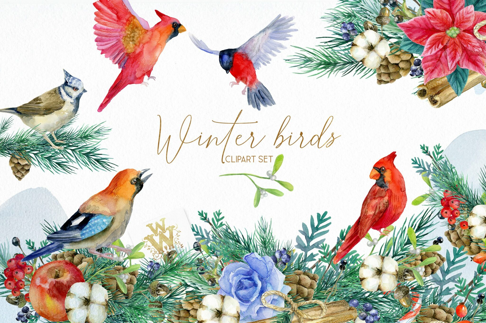 Winter Birds, Christmas Clipart – MasterBundles