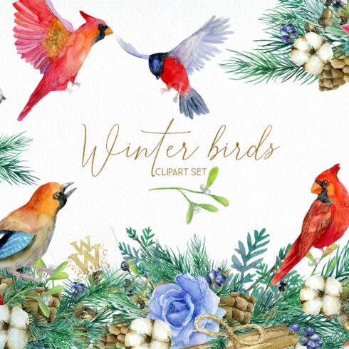 Winter Birds, Christmas Clipart | Master Bundles