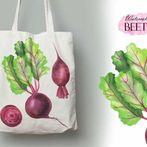 Watercolor Beet | Master Bundles