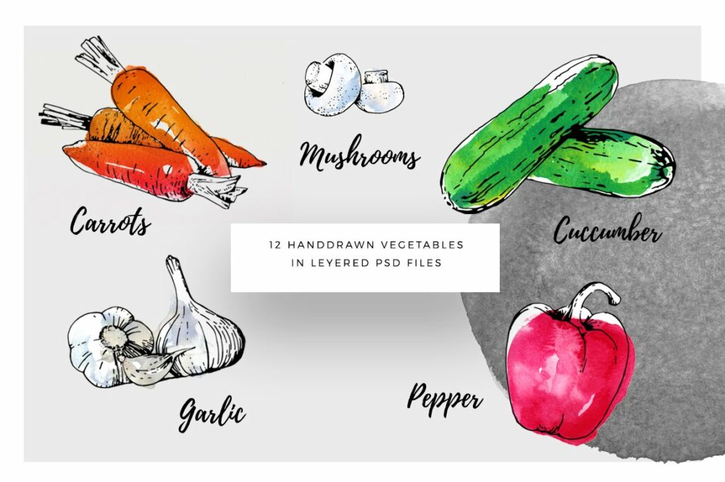 Ink & Watercolour Vegetables – MasterBundles