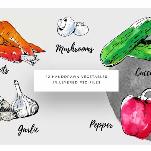 Ink & Watercolour Vegetables | Master Bundles