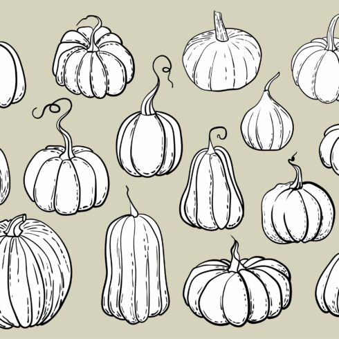 Pumpkins - Vector Clipart | Master Bundles