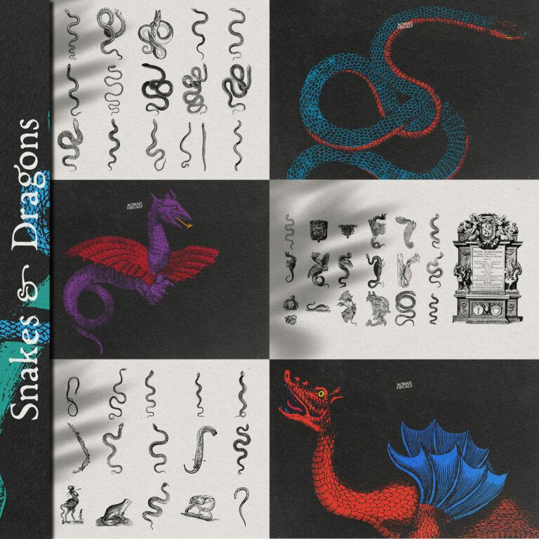Snakes & Dragons Illustrations – MasterBundles