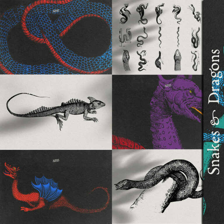 Snakes & Dragons Illustrations – MasterBundles