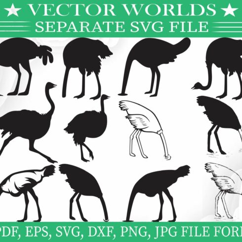 Ostrich Head In Sand Svg, Ostrich Svg | Master Bundles