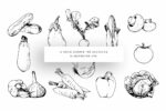 Ink & Watercolour Vegetables | Master Bundles