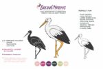 Stork SVG Cut File - Spring SVG, Birds, New Born SVG | Master Bundles